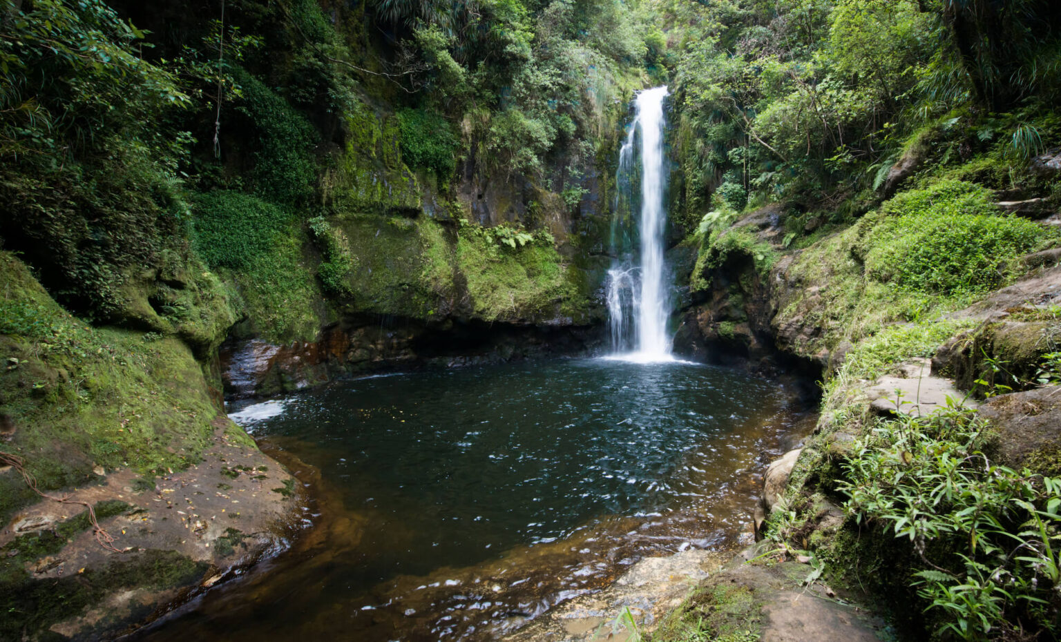 21 Things to Do in Tauranga | Budget Travel Plans