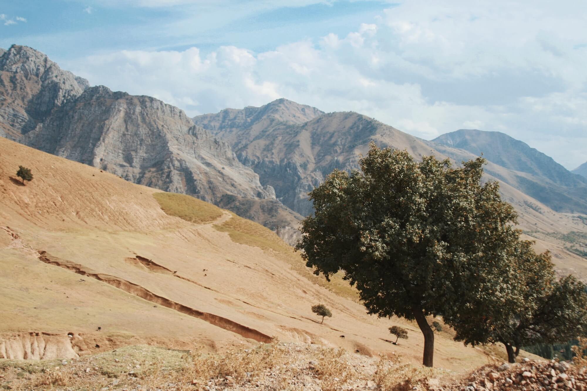 Best Time to Visit Uzbekistan | Budget Travel Plans